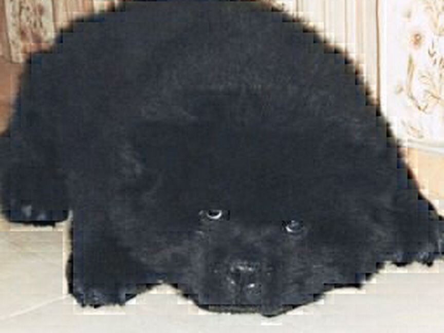 Девочка, длинник -черная жемчужина