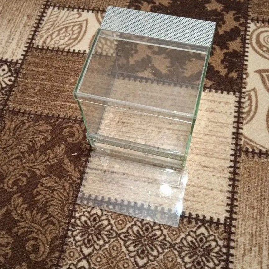 Паучатники