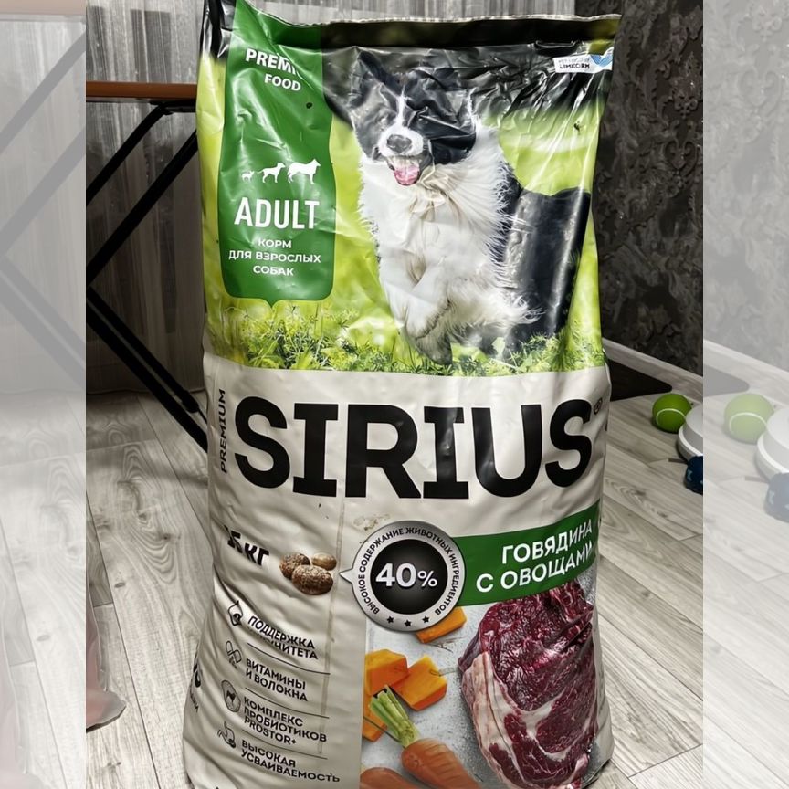 Сухой корм для собак