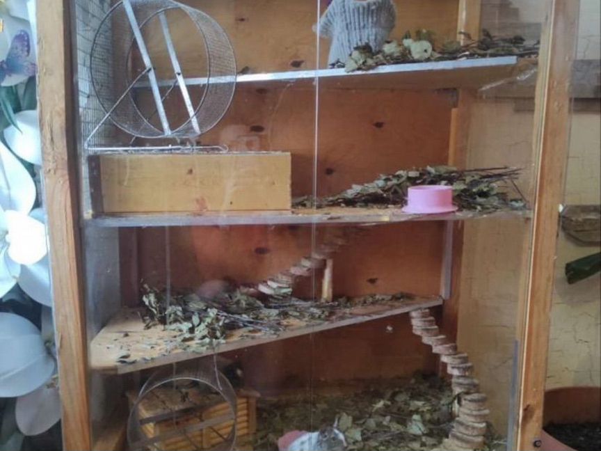 Витрина для шиншилл