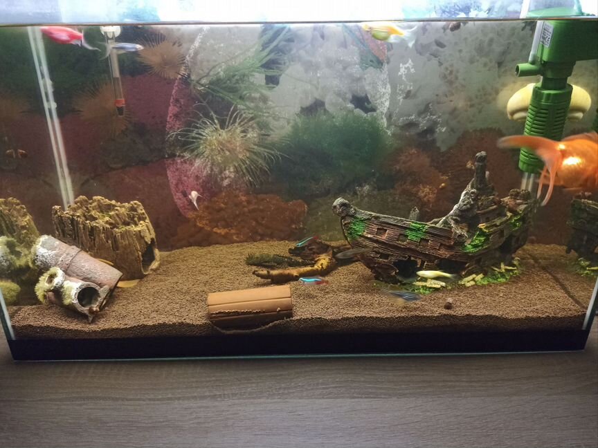 Аквариум 60-65 л