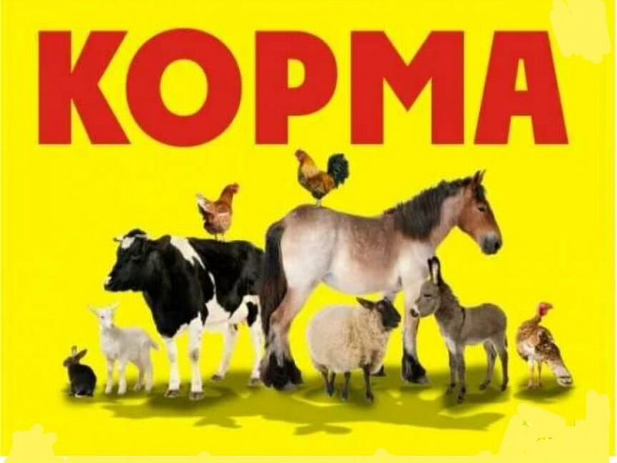 Комбикорм зерно опт от 10 мешков с доставкой