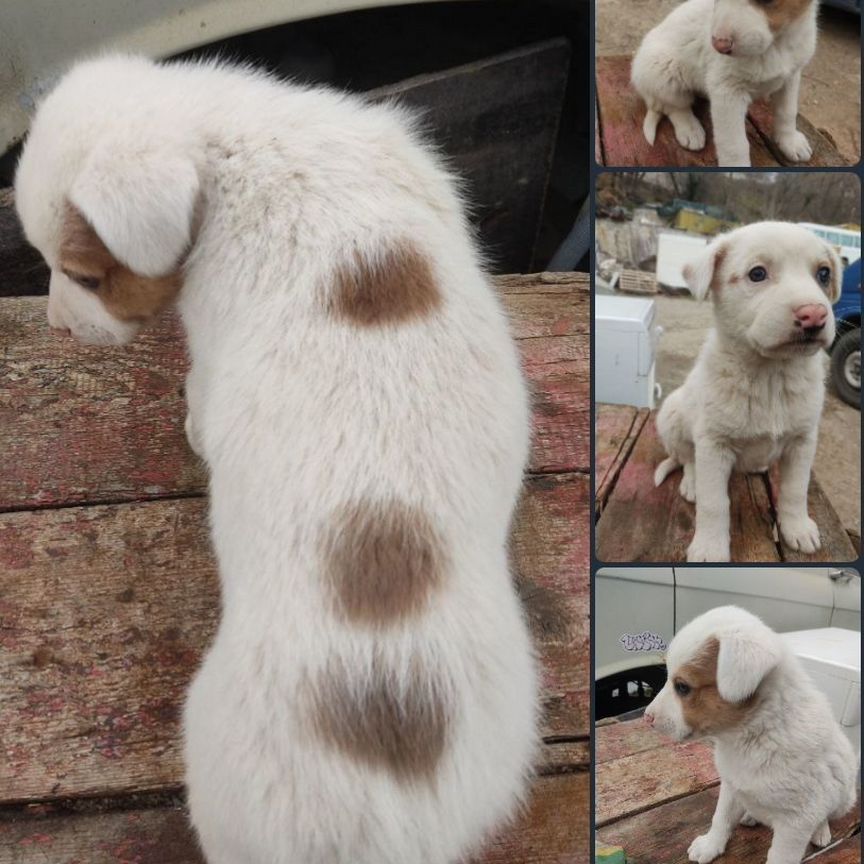 Мальчик 1.5 месяца