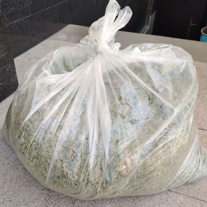 Трава для кроликов, свежескошенная