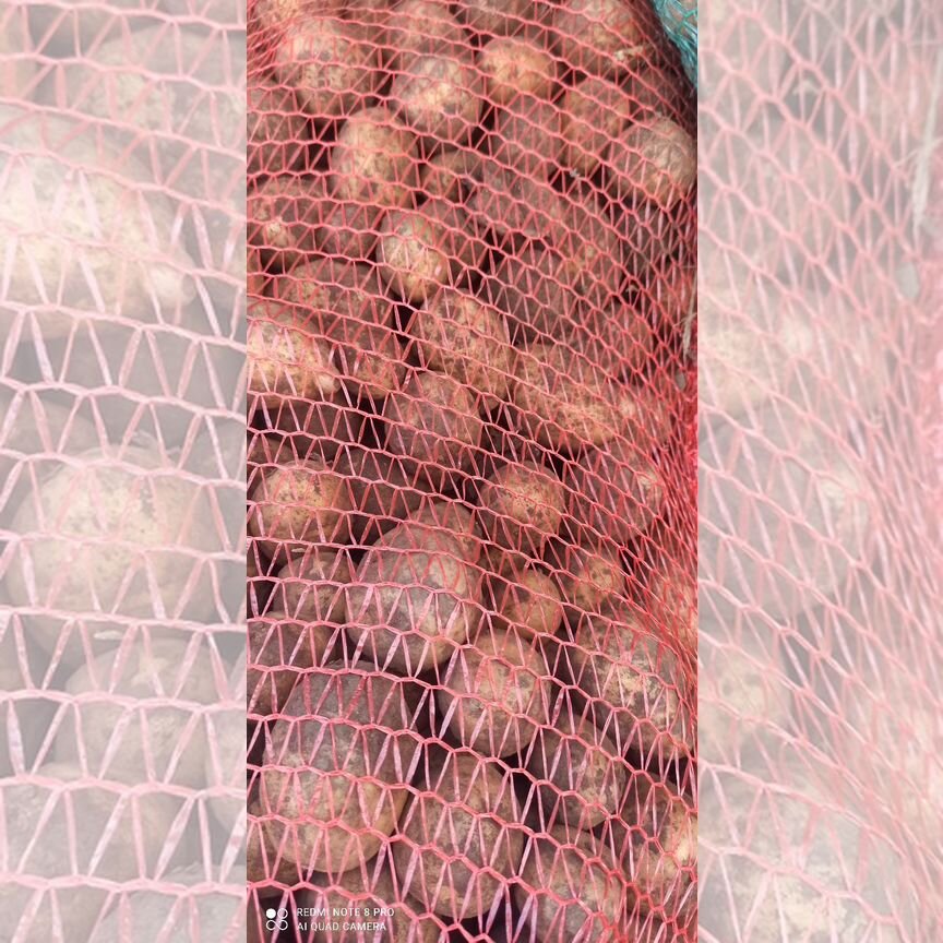 Продукты питания для животных