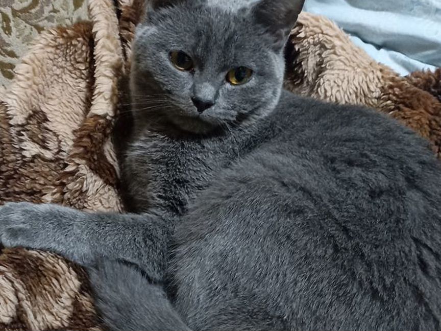 Сиротка мальчик в добрые руки