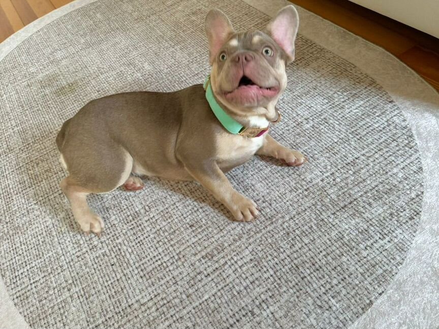 Девочка с геном пинк