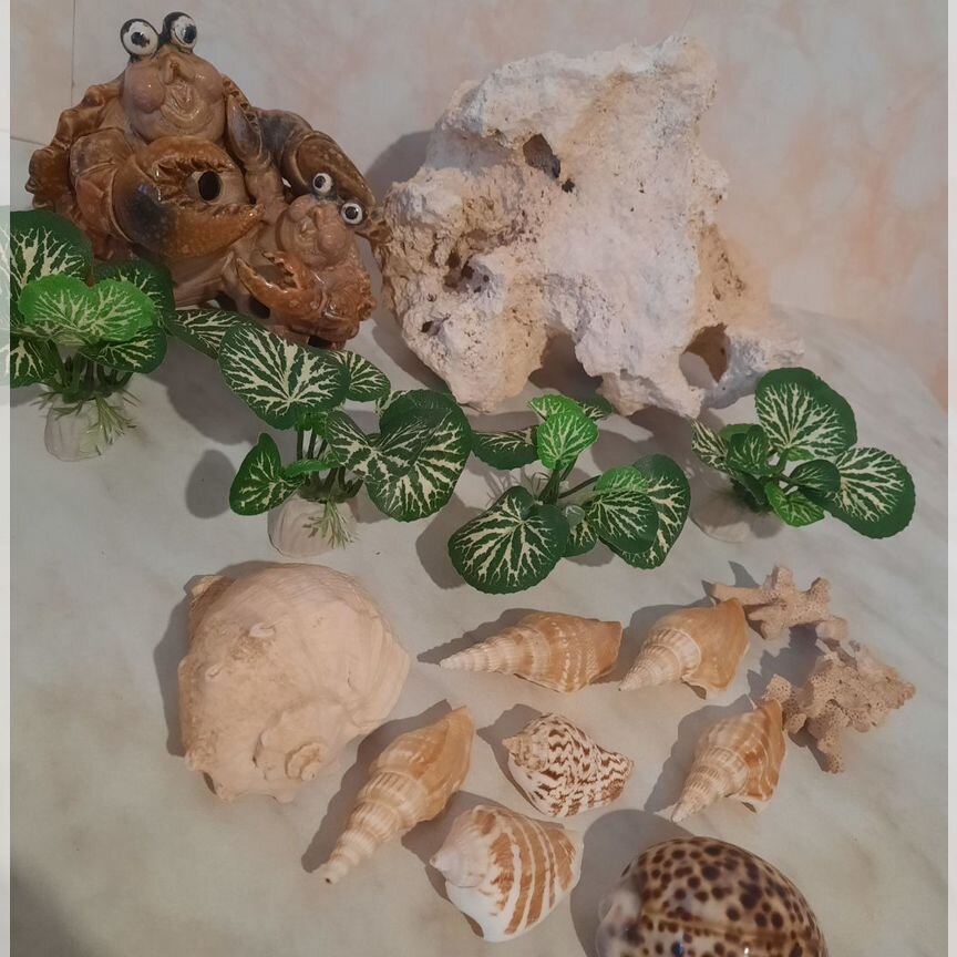 Все для аквариума