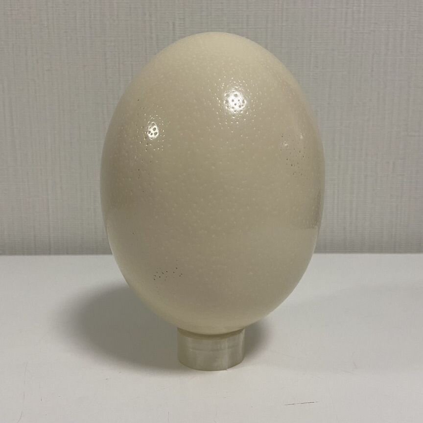 Яйцо страуса (пустое)