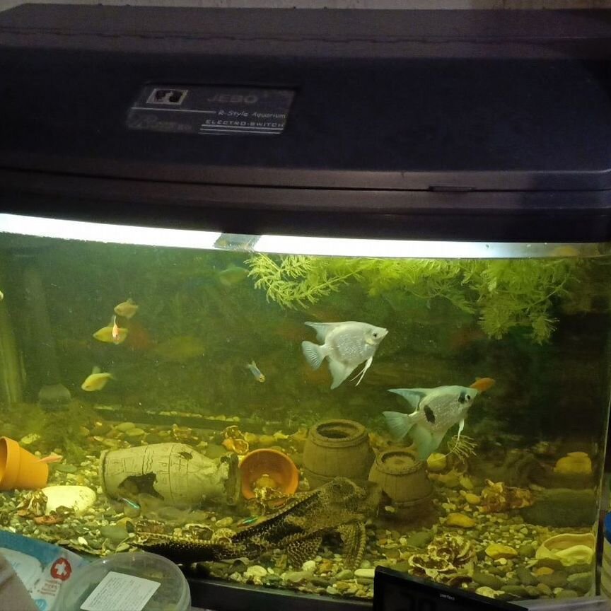 Аквариум с рыбками 145 литров