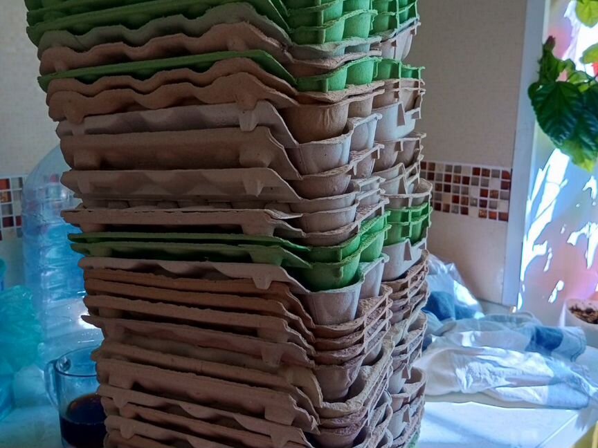 Лотки для яиц картонные чистые