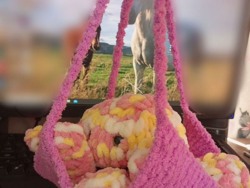 Гамак для крыс