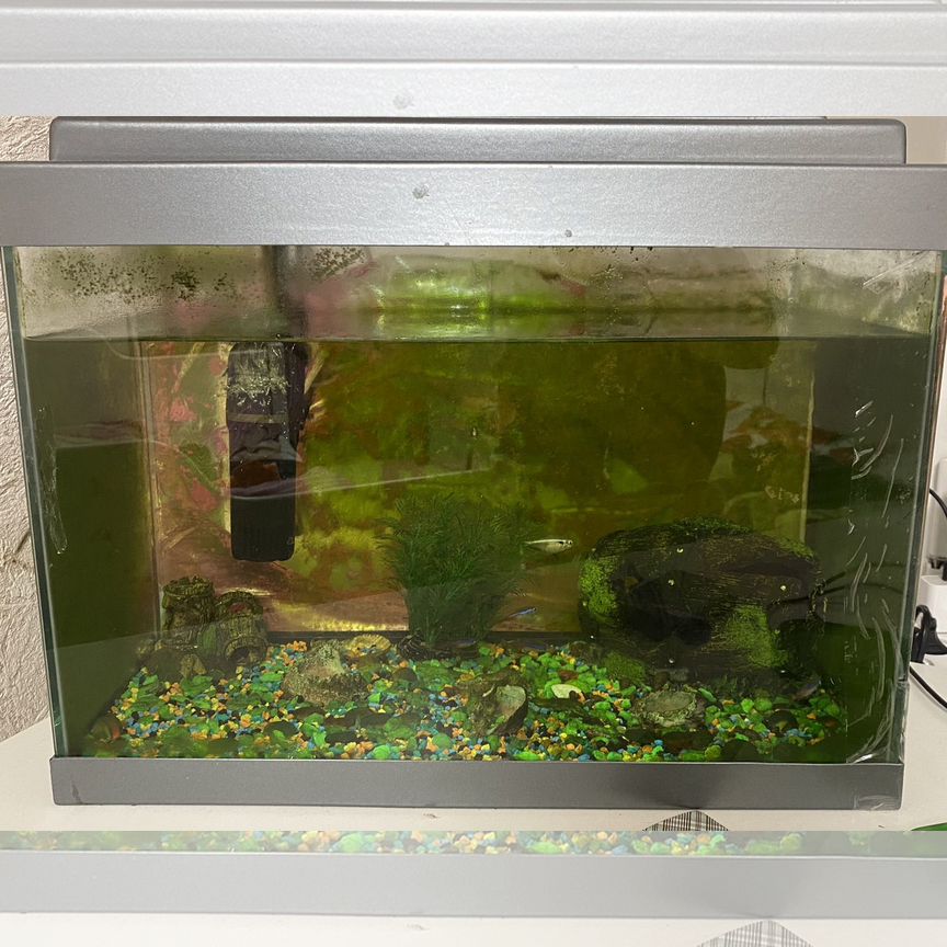 Аквариум с рыбками