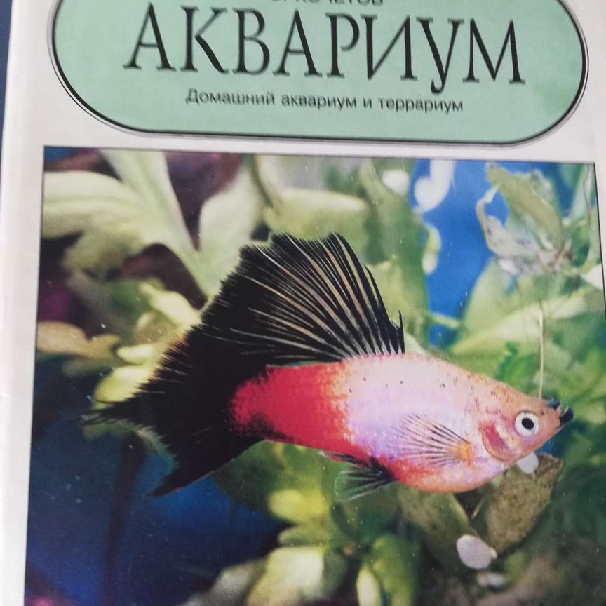 Аквариум. С. Кочетов