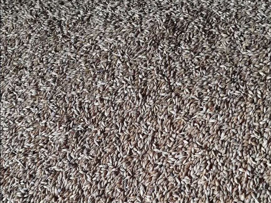 Подсолнечная зерносмесь