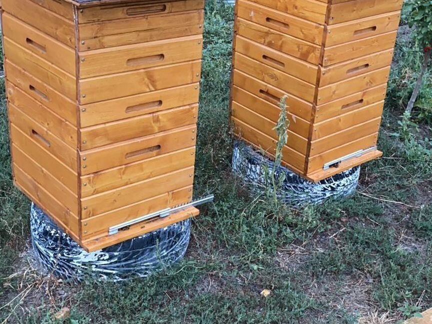 Улей для пчел