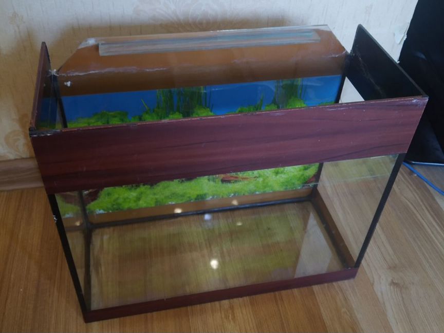 Аквариум 10 литров