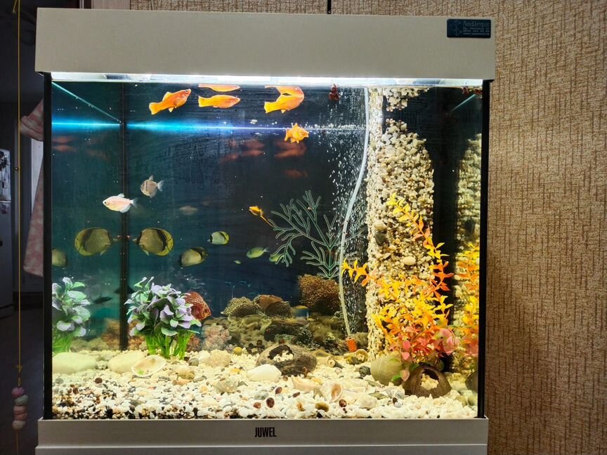 Аквариум Juwel Lido 120 LED