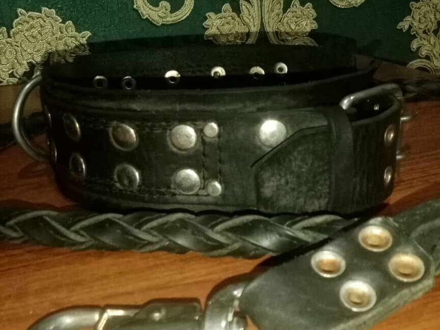 Ошейник для собаки