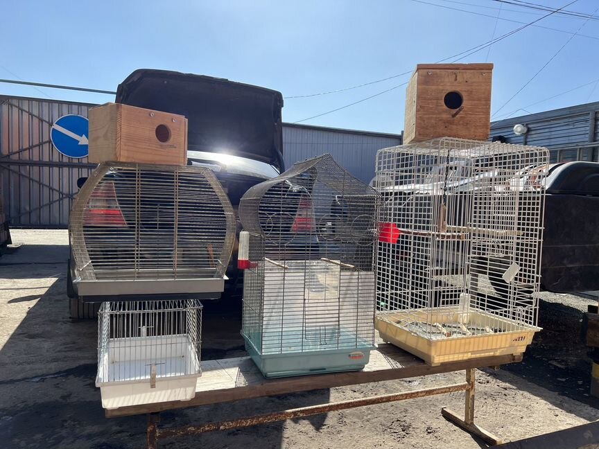 Клетка для попугая