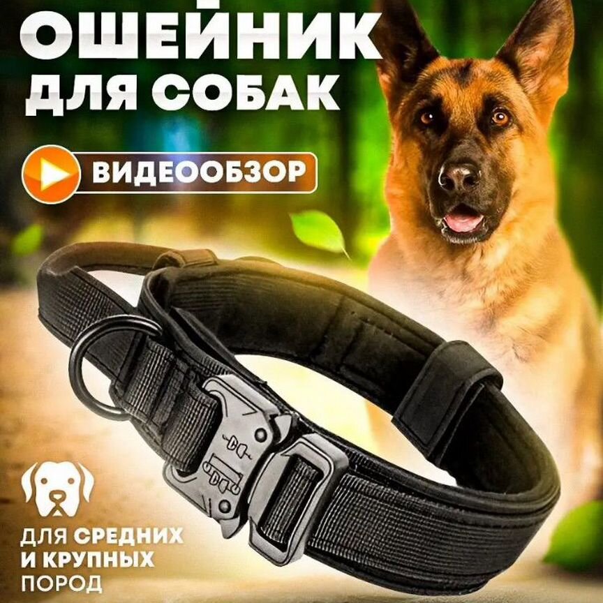 Ошейник для собак средних пород