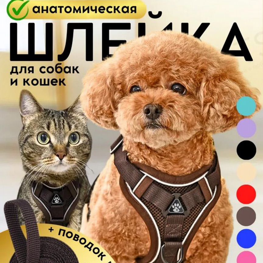 Шлейка анатомическая для собак