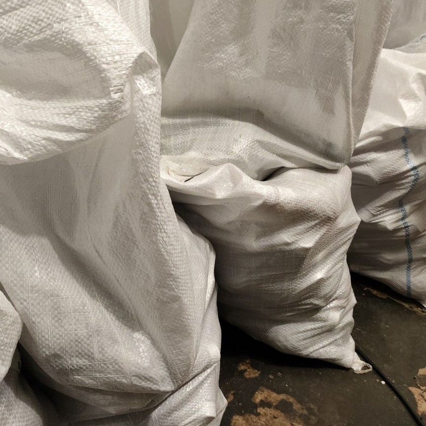 Пшеница фуражная