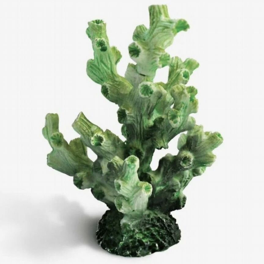 Грот коралл искусственный Монтипора мини