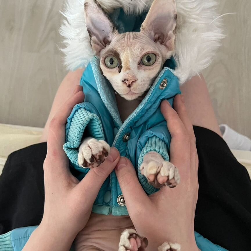 Шубка для питомца