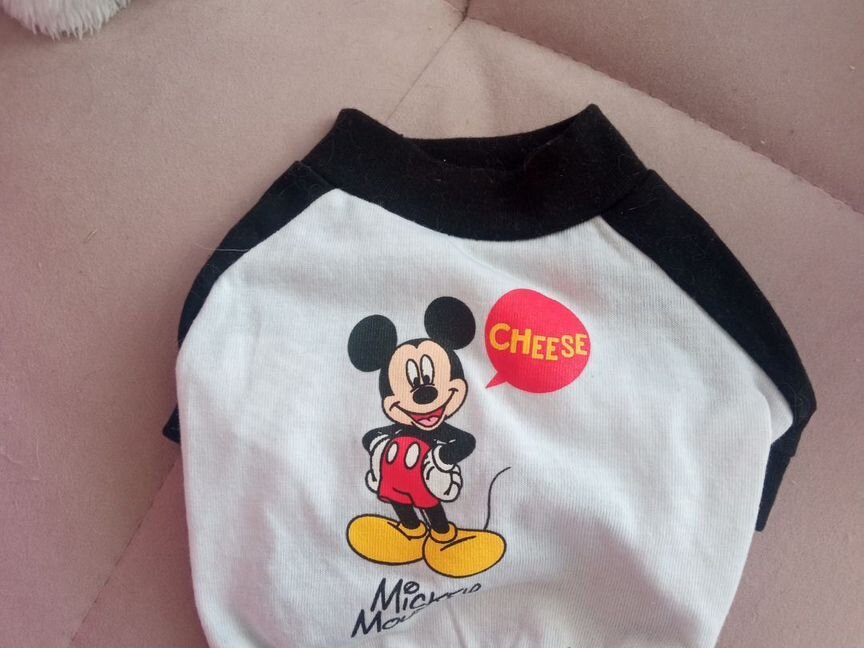 Одежда для животных