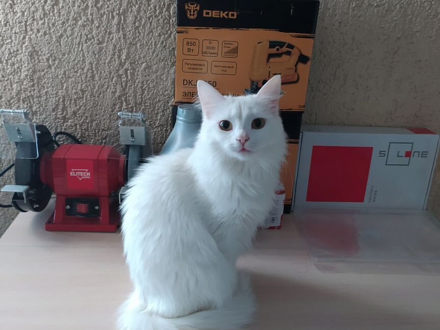 Неизвестно