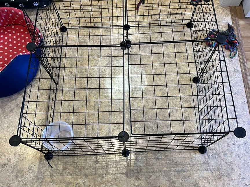 Вольер для мелких пород собак