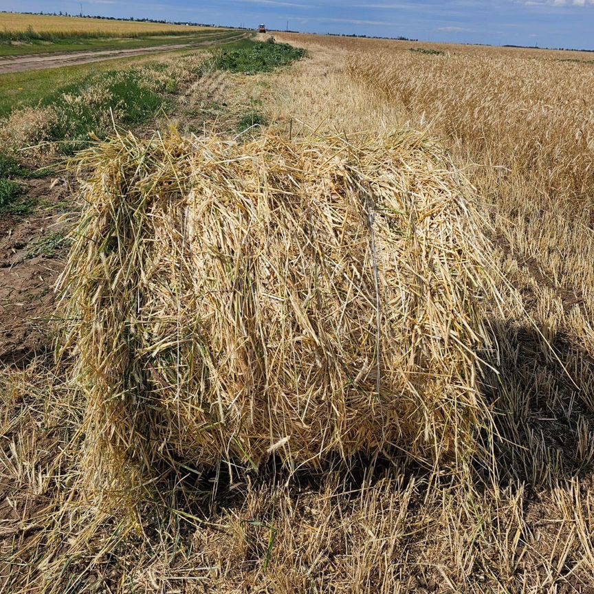 Солома в рулонах