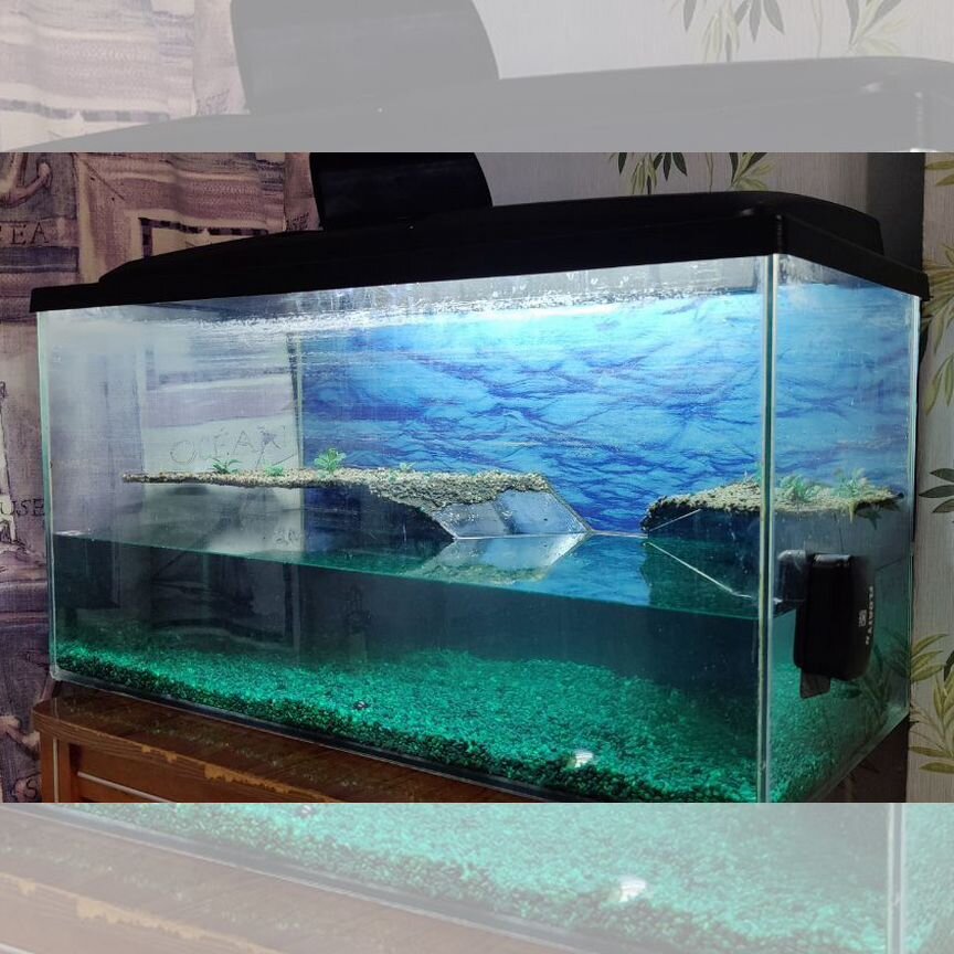 Акватеррариум для черепахи