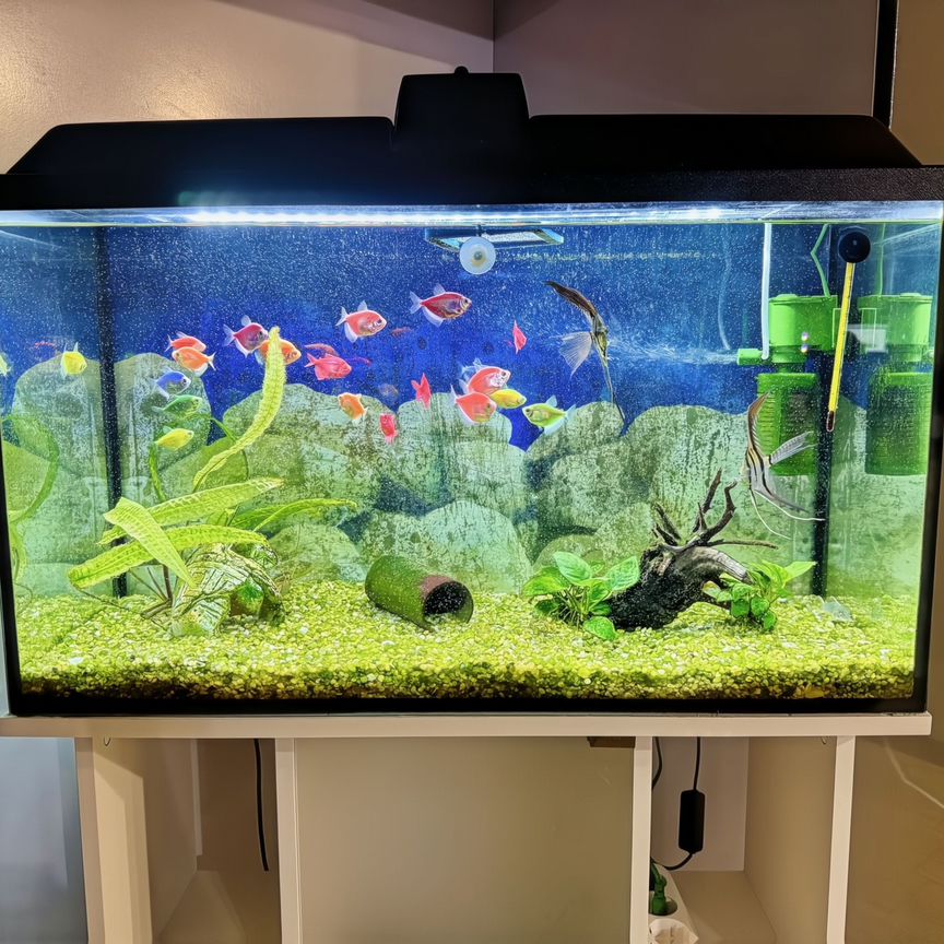 Аквариум с тумбой