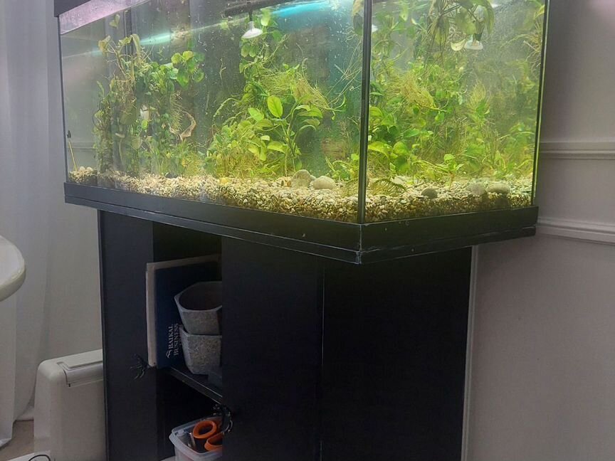 Jewel Rio 180 с содержимым