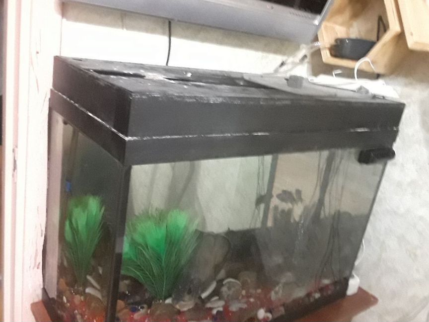 Аквариум с оборудованием и рыбами