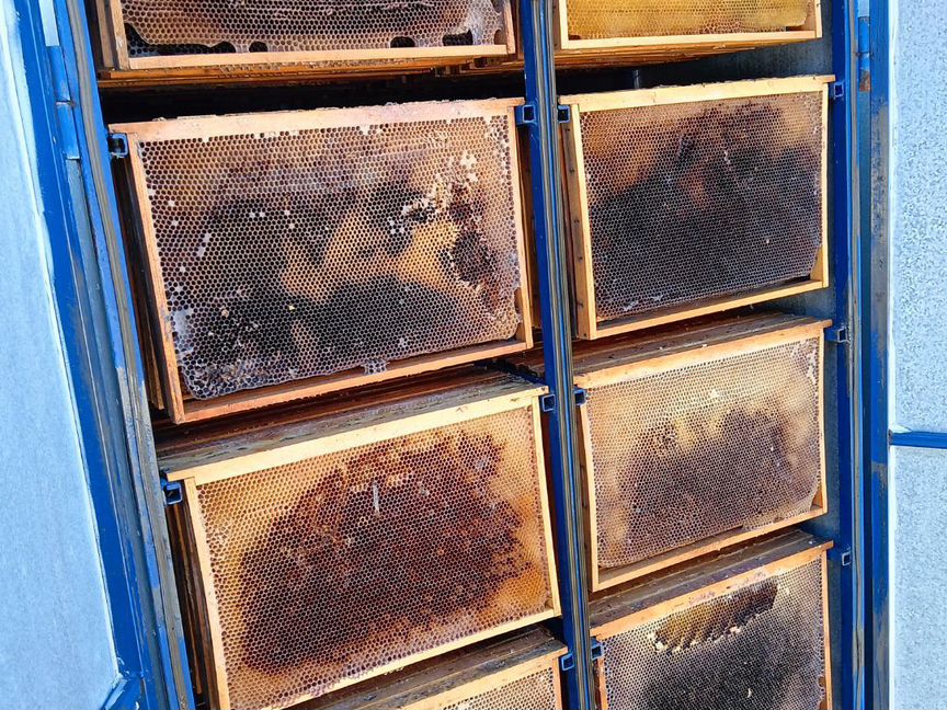 Рамки с вощиной