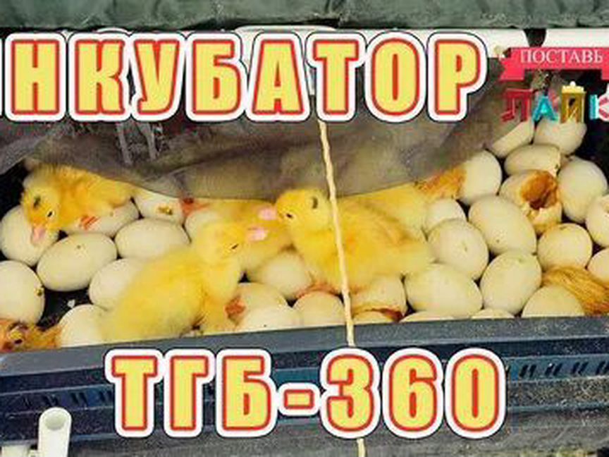 Продам инкубатор