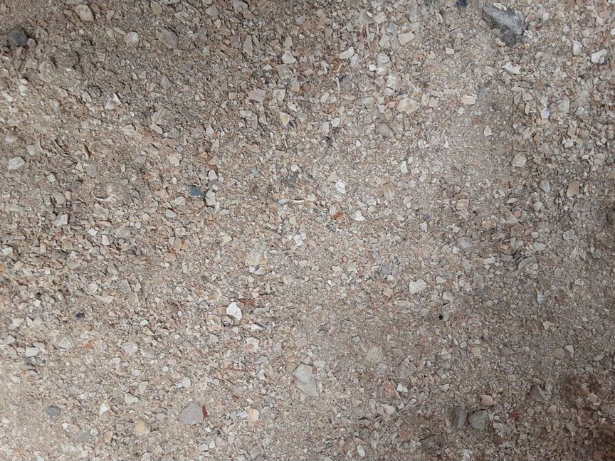 Ракушка морская дроблёная кормовая для птицы