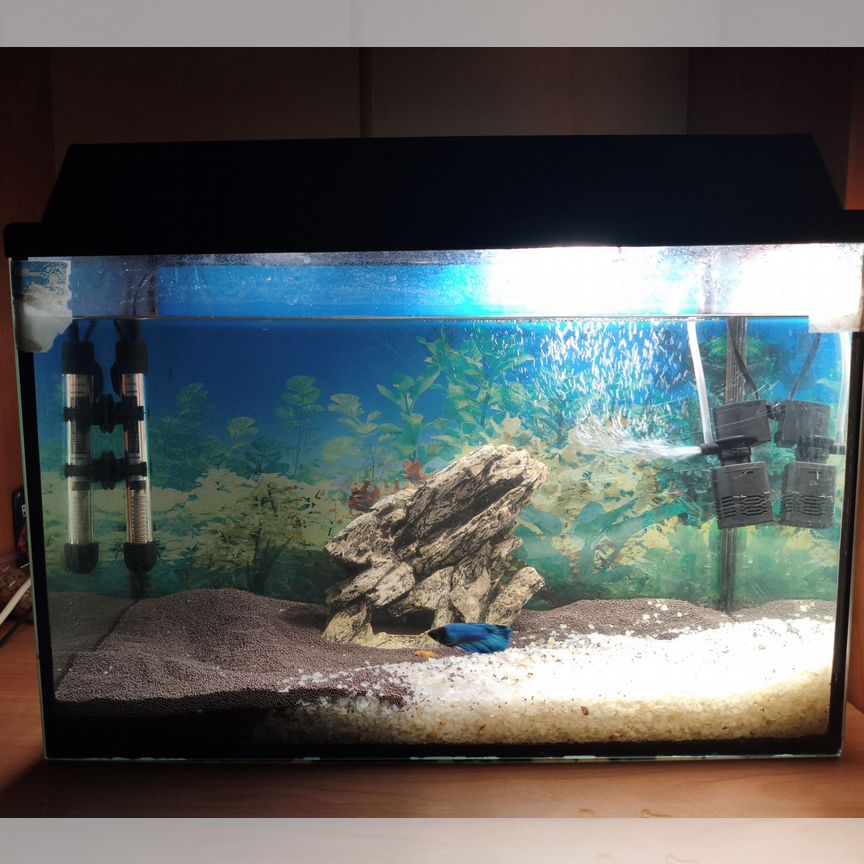 Аквариум