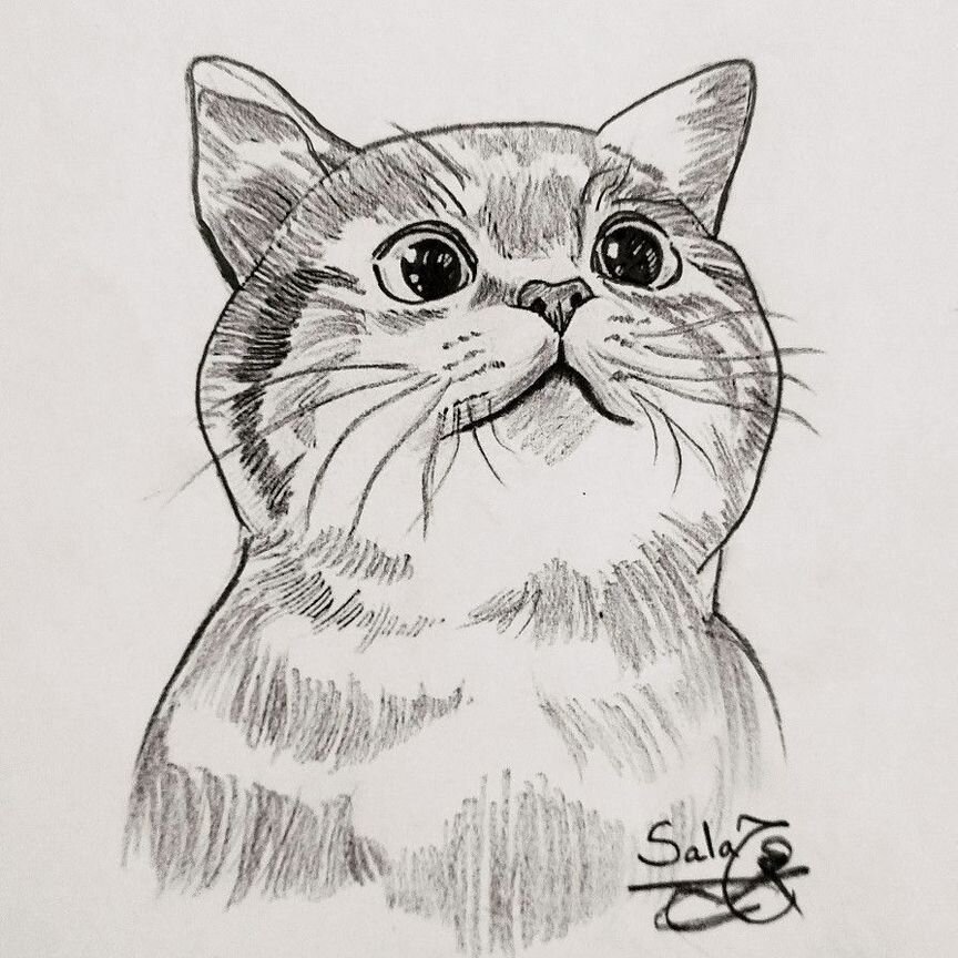 Рисую ваших питомцев