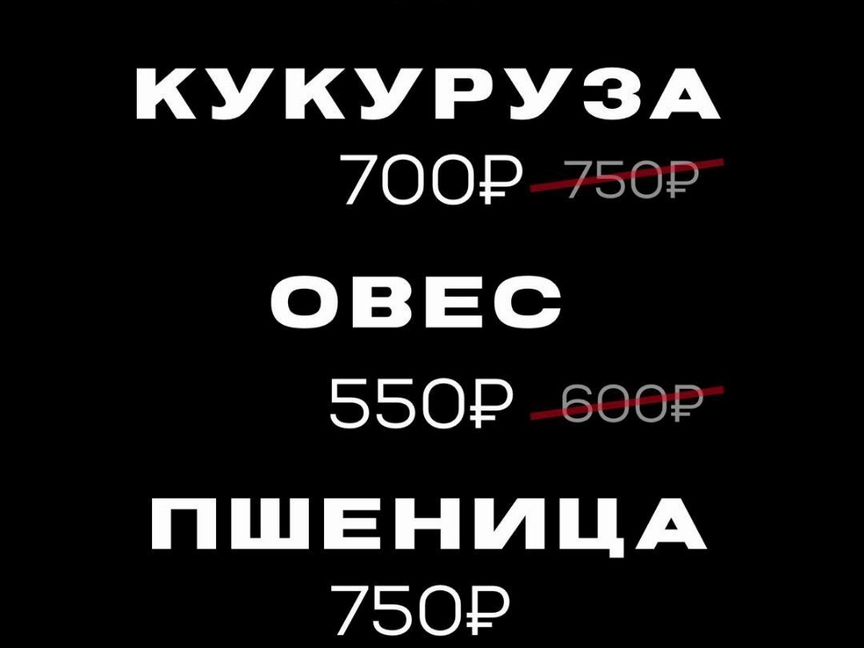 Корма для сельскохозяйственных животных