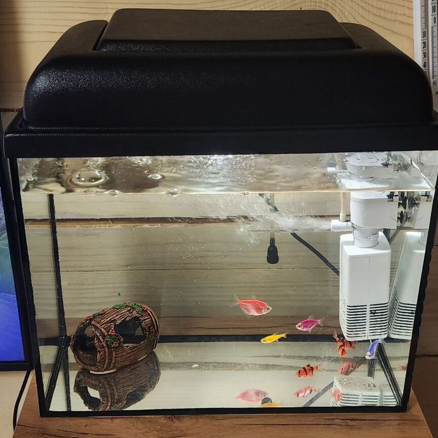 Аквариум с рыбками