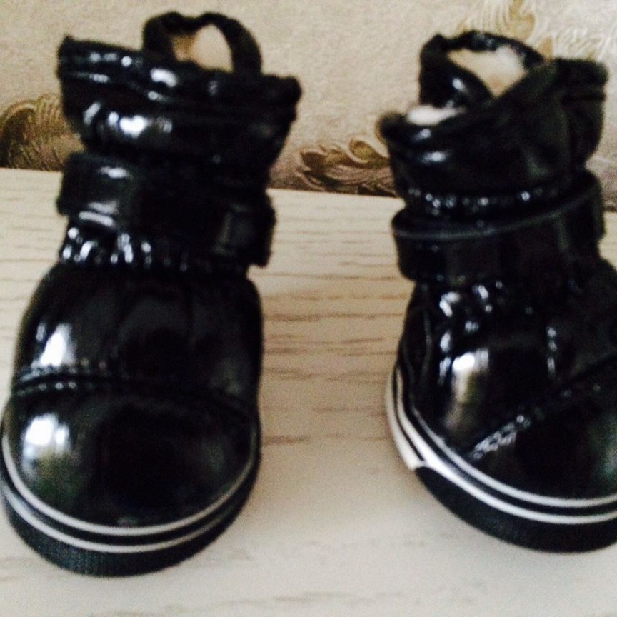 Новые зимние ботинки для собаки