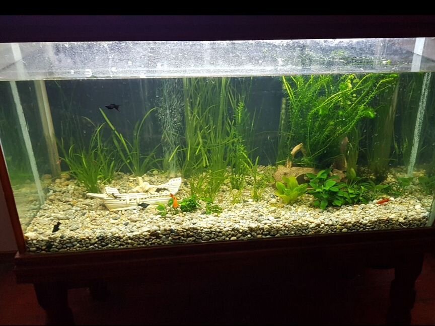 Аквариум 300 литров