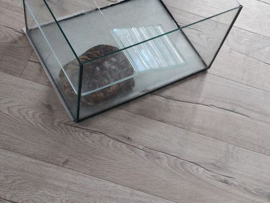 Аквариум 20 литров с черепахой