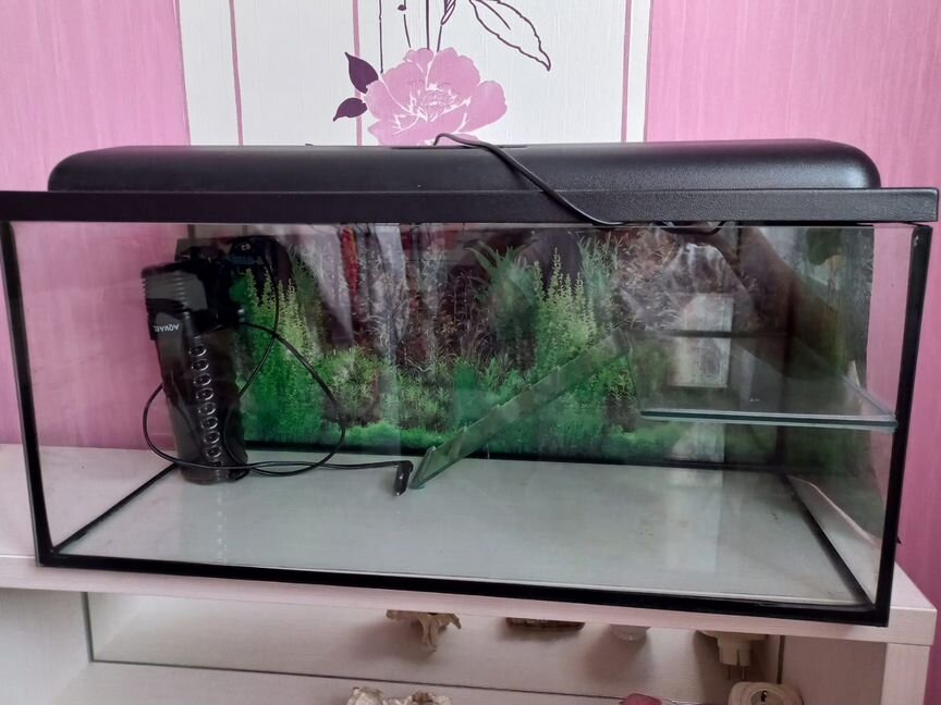 Аквариум для красноухой черепахи