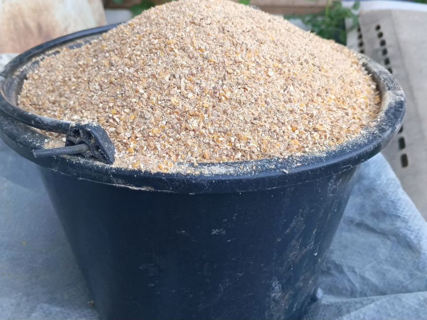 Зерно пшеница ячмень кукуруза