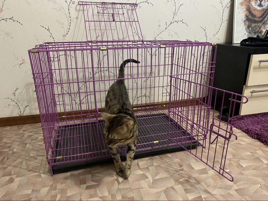 Клетка для котят, щенят